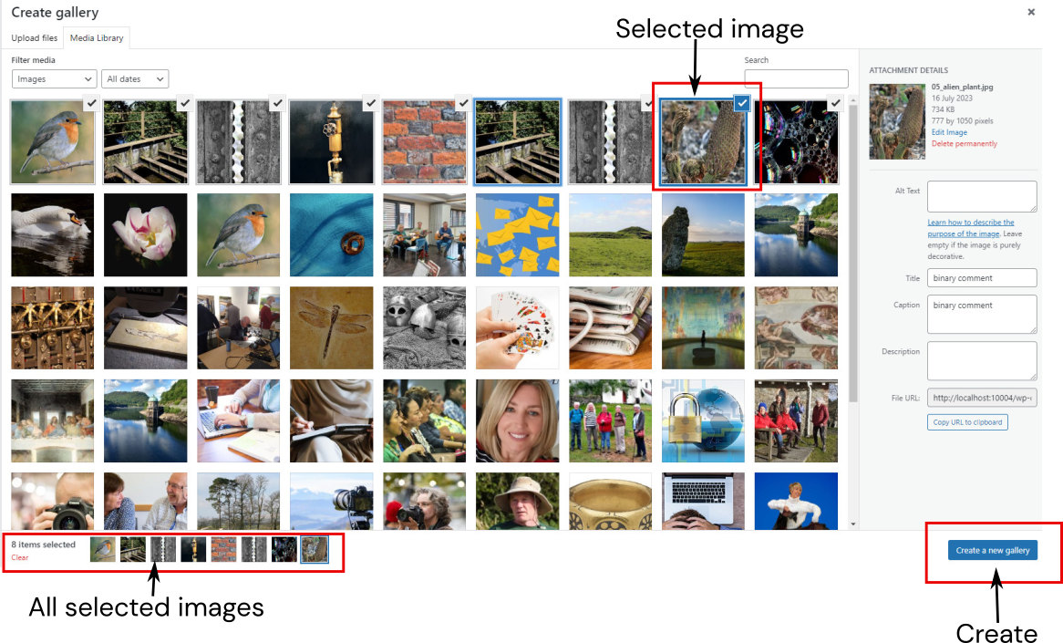 Inserting images – SiteWorks
